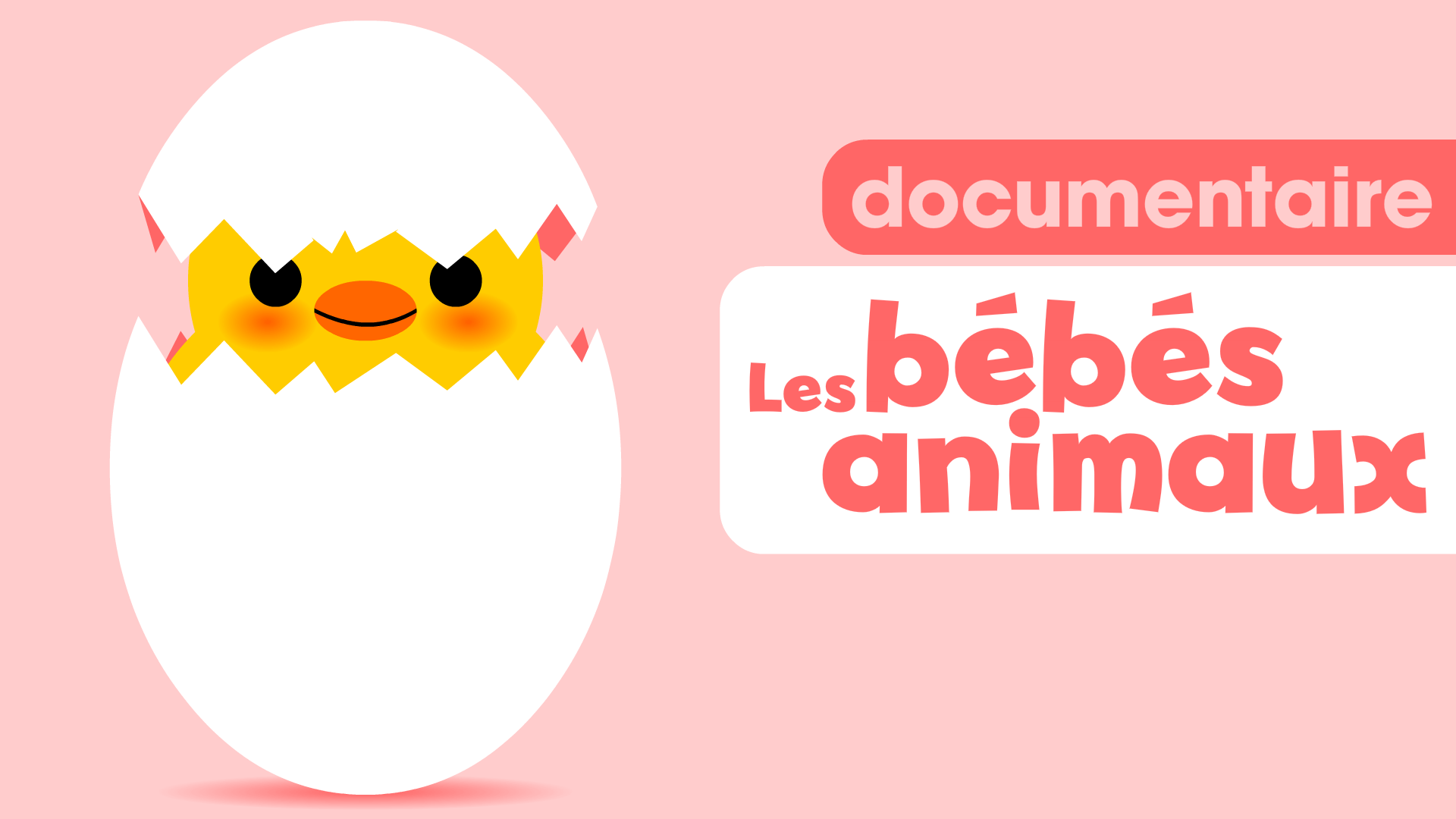 Les bébé animaux - Documentaire animé pour bébé et maternelles